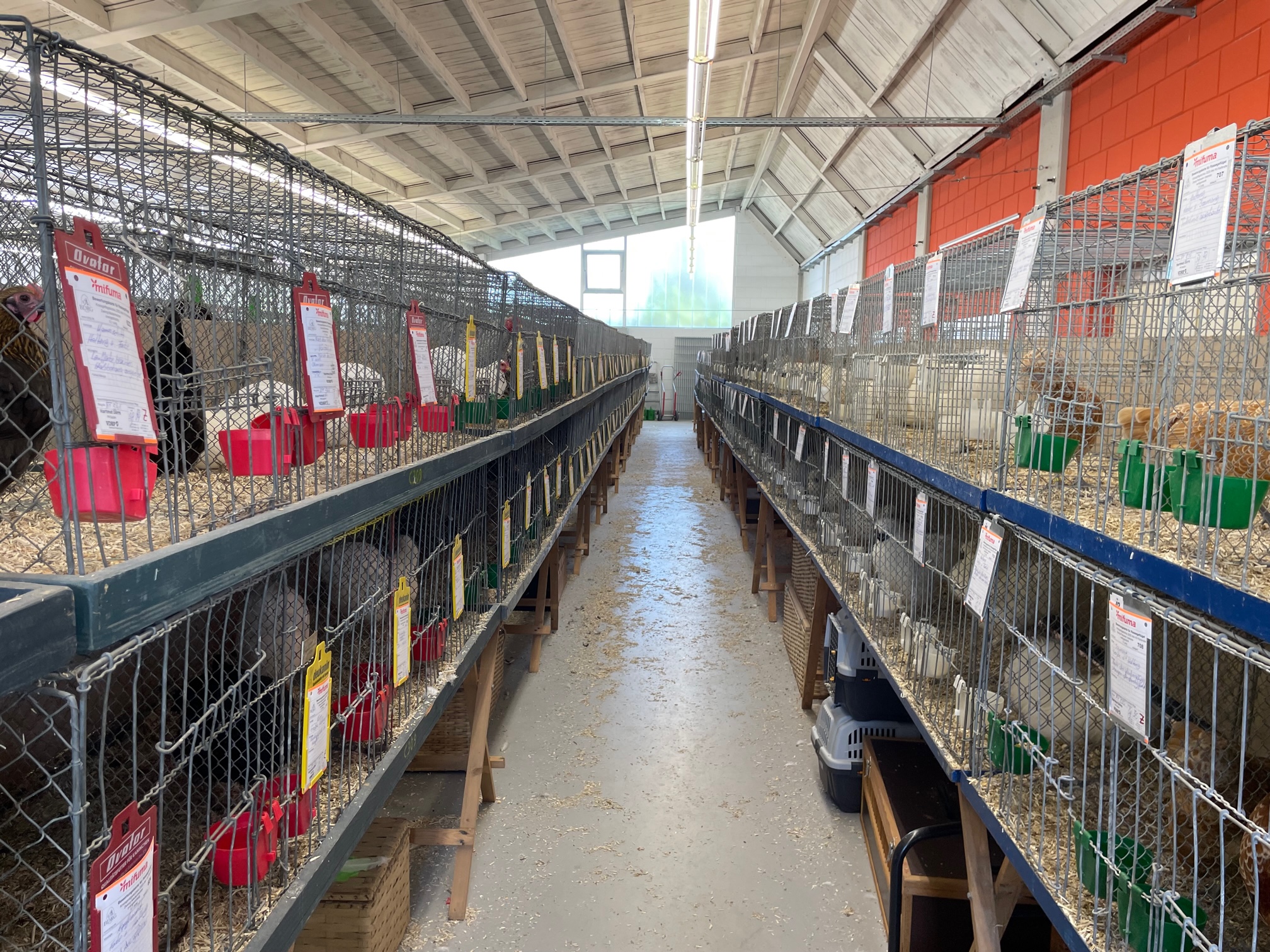 Annual Poultry Shows and Fairs in Nebraska | PoultryLane